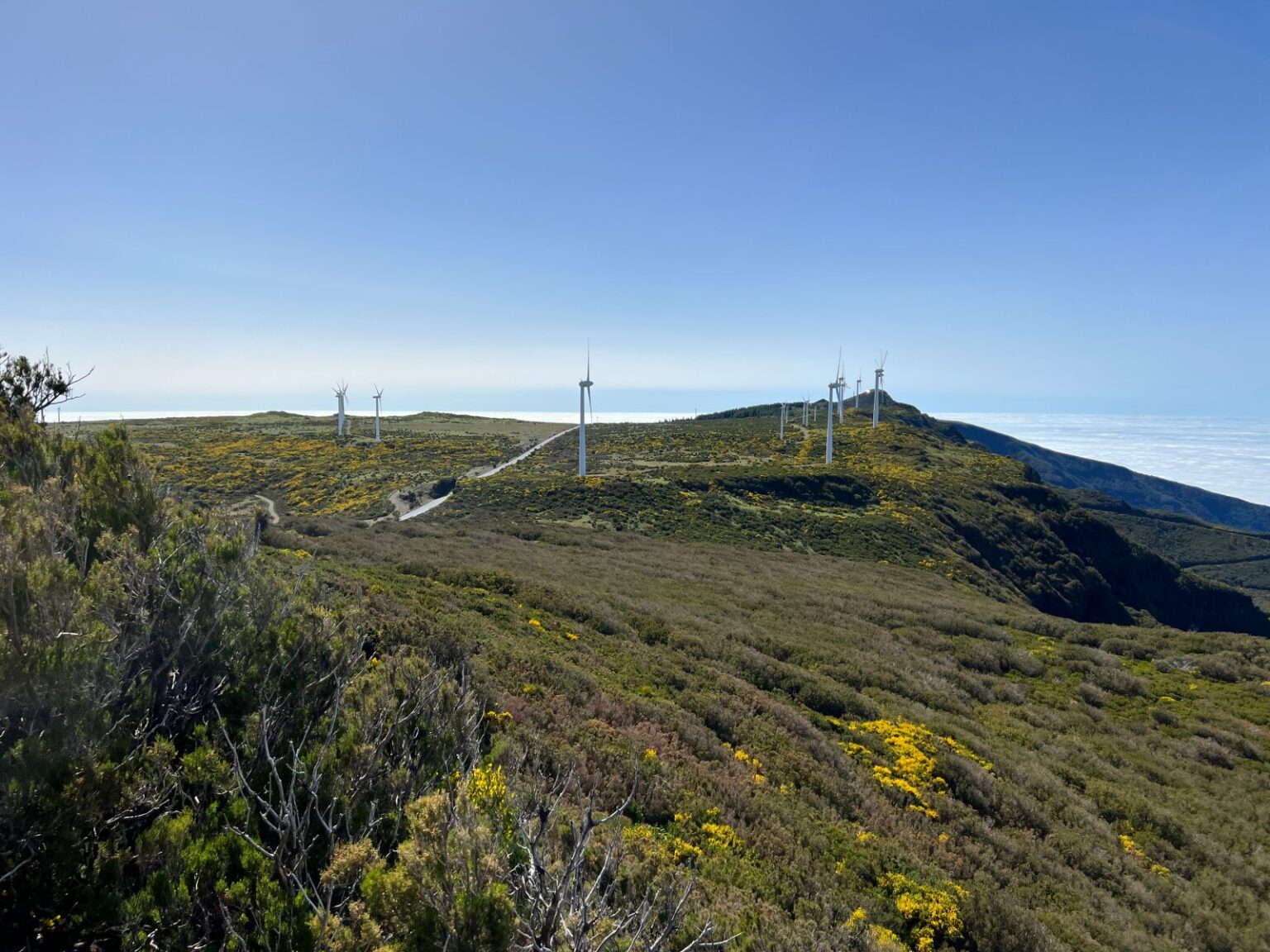 Wakacje na Maderze w pigułce - Portugalia - Zaintrygowani.pl